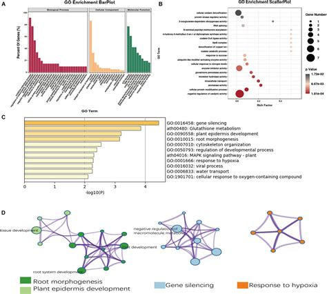 Frontiers Quantitative Trait Locus Analysis And Identification Of Candidate Genes For