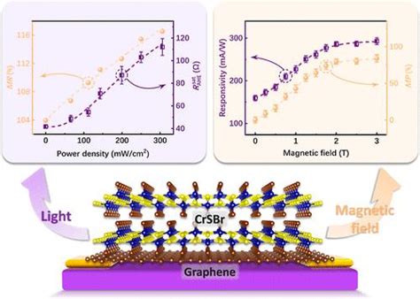 Revealing Light Magnetism Coupling Via Anomalous Hall Effect And Magneto Photoresponse In