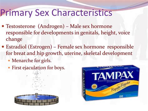 PPT Human Growth And Development Physical Development PowerPoint Presentation ID 1954866