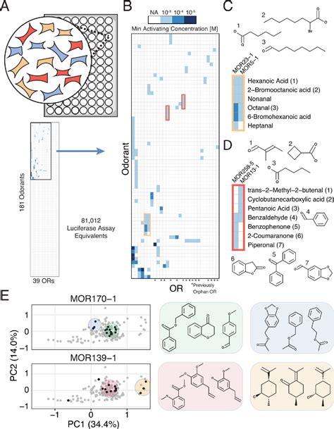 Figure 2 From A Scalable Multiplexed Assay For Decoding Gpcr Ligand Interactions With Rna