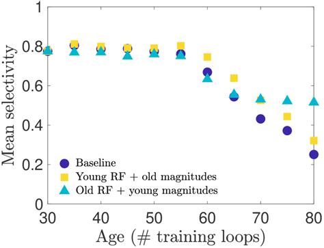 Selectivity Of Cells With Remapped Receptive Fields To Disambiguate