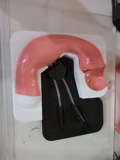 Stl File Training Model For Interventional Ercp 💊 3mf・model To