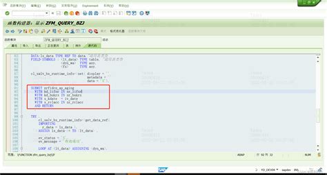 Rfc Submit 调用sap程序idcnap 应付账款账龄报告 报错 Exception Condition “cntlsystem