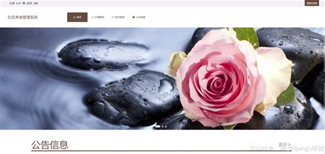 Python毕设 社区养老管理系统论文程序 Csdn博客