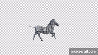Zebra Running On Make A 