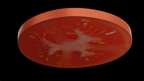 Tomato Slice 3d Model By Thedazking