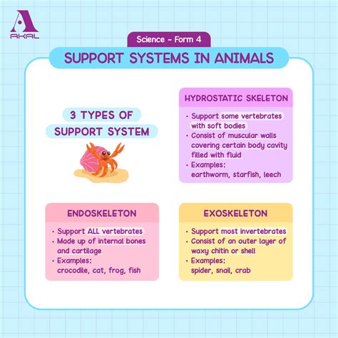 Exoskeleton Vs Endoskeleton