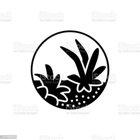 식물 및 돌과 라운드 Terrarium의 블랙 화이트 벡터 일러스트 유리 컨테이너에 장식 즙이 집 식물 플랫 아이콘입니다 고립 된 개체 0명에 대한 스톡 벡터 아트 및 기타