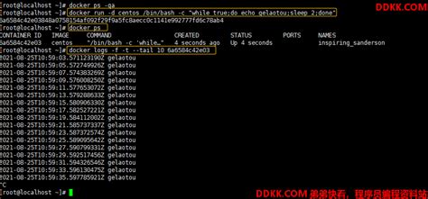 Docker 实战：常用其他命令 1 日志、元数据、进程的查看 弟弟快看教程
