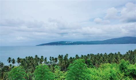Kedai Koja Koja Rekomendasi Tempat Ngopi Bagi Para Pencinta Kopi Butonsatu