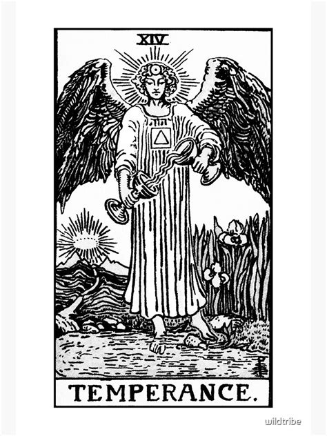 Tarot Cards Art Illustration Temperance Young Delacueva