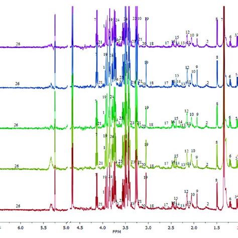 Pathway Analysis With Metaboanalyst Download Scientific Diagram