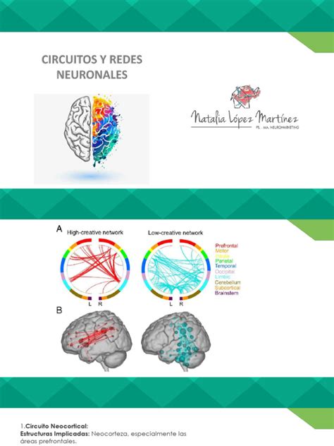 N Circuitos Y Redes Neuronales Pdf