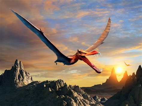 New Pterosaur From The Cretaceous Found In Africa
