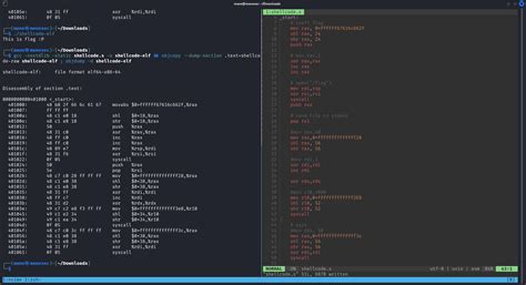 Pwncollege Shellcode Injection