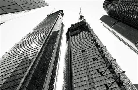 Barry Mcbeth Mrics On Linkedin Black Swans Grey Rhinos Surviving The Construction Jungle