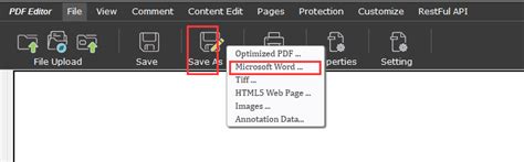 C How To Display Export Convert PDF File To Word Docx Without