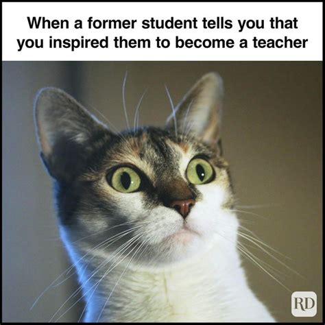 50 Teacher Memes For 2025 Relatable And Funny Teacher Memes