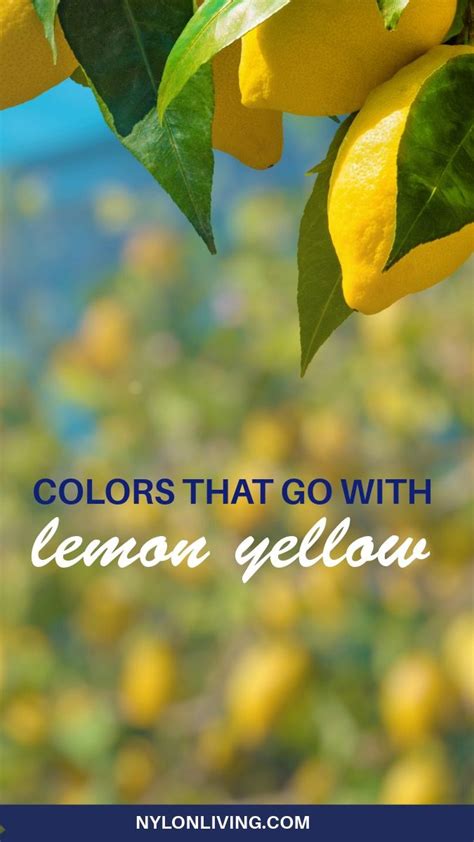 The Color Lemon Yellow Cool Lemon Yellow Color Combinations Yellow Color Combinations Color