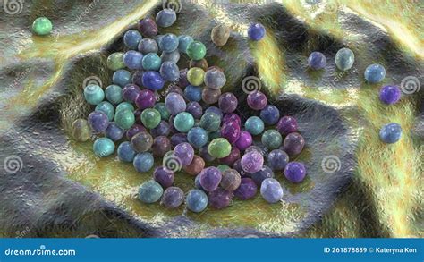 Staphylococcus Lugdunensis Bacteria 3d Illustration Stock Illustration Illustration Of