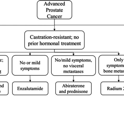 Algorithm For The Management Of Advanced Prostate Cancer Download