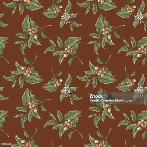 녹색 잎과 붉은 커피 과일이 있는 커피 식물 흰 꽃이 피는 잘 익은 커피 열매 상점 카페 배너 엽서 커피 포장 디자인에 대 한 갈색 배경에 수채화 완벽 한 패턴 0명에 대한