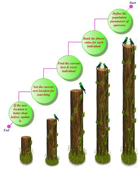 Sparrow Search Algorithm Ssa A Swarm Intelligence Optimization