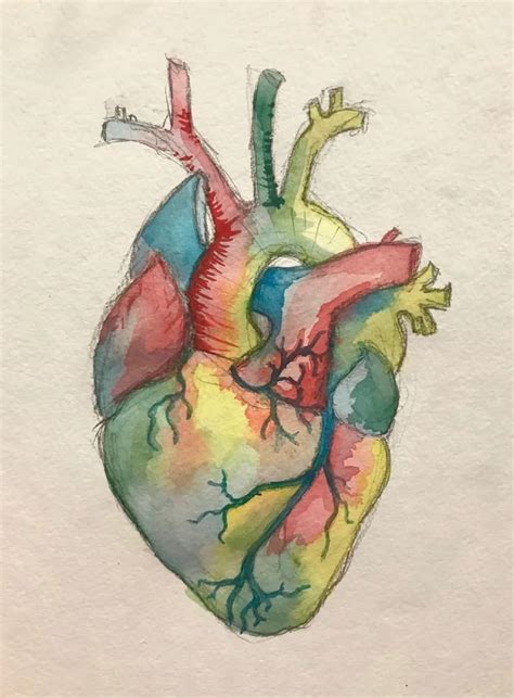 Colorful Heart Water Color Heart Colorful Heart Watercolor Drawing