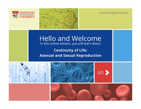 LO Continuity Of Life Cell Division Asexual Sexual Reproduction BS Studocu