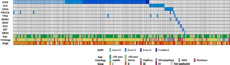 Diagram Demonstrating Driver Gene Mutation Status And Clinicopathologic