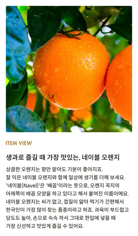 트릿지팜 고당도 호주산 네이블 오렌지 대과 10입 24kg 내외특과 10입 28kg 내외 유픽