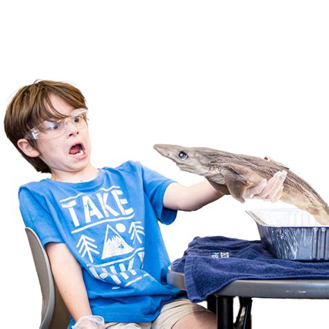 Stem Club Programs Science Explorers