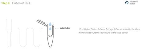 Split Rna Extraction Kit Molecular Products Co