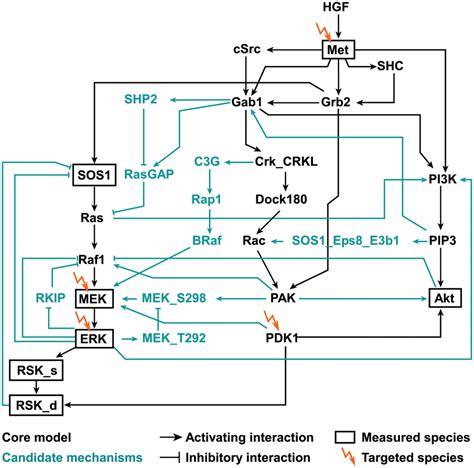 Interaction Graph Master Model The Interaction Graph Master Model Was