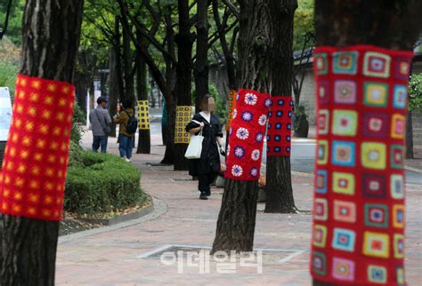 포토 단풍보다 예쁜 겨울옷