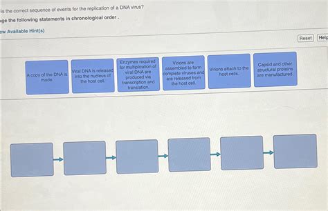 Solved is the correct sequence of events for the replication | Chegg.com