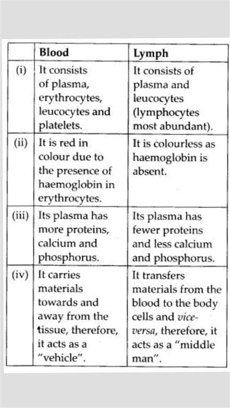 Difference Between Blood And Lymph