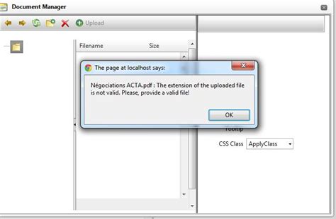 Editor Document Manager Set The File Extensions Allowed In Ui For Aspnet Ajax Editor Telerik