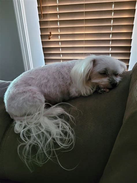 Ruby My Sweet Girl Scrolller