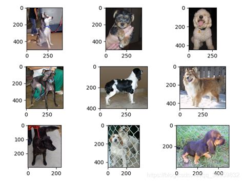 快速理解【tensorflow20】imagedatagenerator使用 Csdn博客