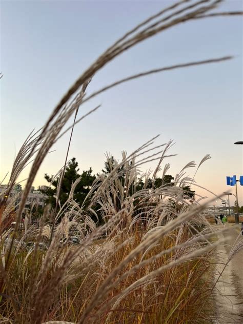 33 대학병원 전원방법 전원절차 전원 후기 등 4기 암환자 병원을 옮긴 이유 네이버 블로그