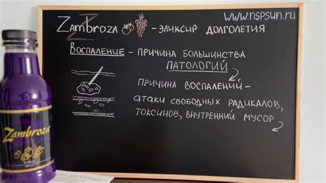 Замброза НСП Zambroza NSP эликсир долголетия - YouTube