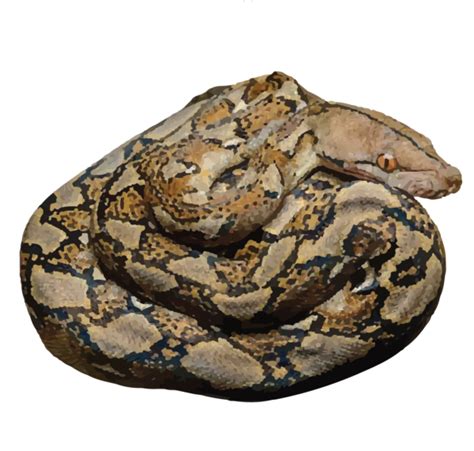 Reticulated Python World For Nature