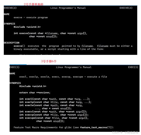 linux系统编程：进程替换 csdn博客