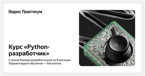 Python разработчик с нуля курс онлайн обучения языку программирования