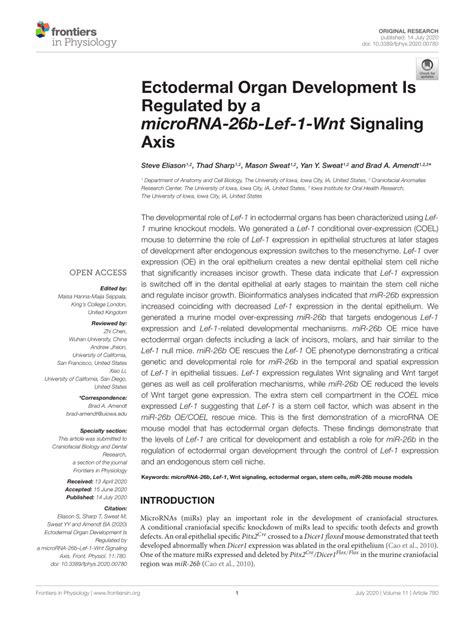 Pdf Ectodermal Organ Development Is Regulated By A Microrna 26b Lef 1