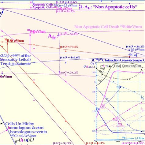 The Cell Survival The Cell Fractions That Are Totally Un Hit By The