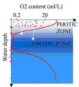 The Elephant In The Oxygen Minimum Zone Oceanbites