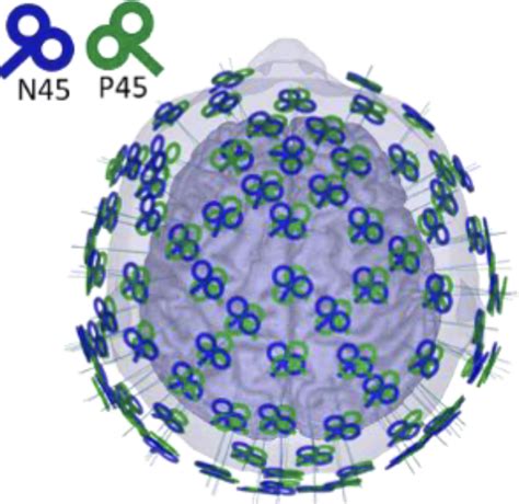 Densely Sampled Stimulus Response Map Of Human Cortex With Single Pulse Tms Eeg And Its Relation