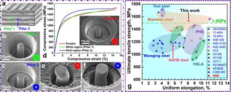 A The Illustration Shows The Locations Of Micro Pillars In The Ilp Download Scientific